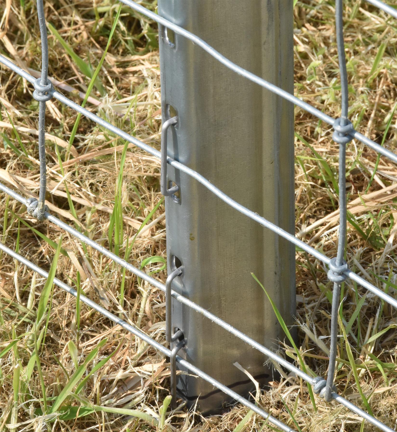 Livestock Fencing Tools at Margaret Aguirre blog