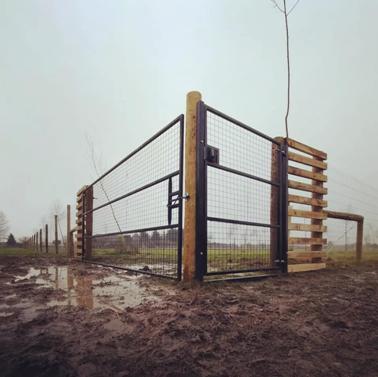 Projects - Dog Daycare Fencing
