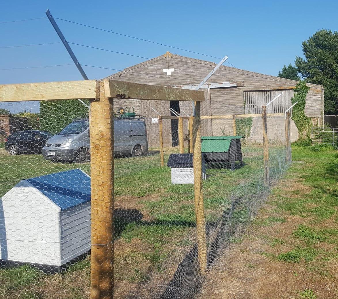 Animal / Zoo Enclosures - Farm and Country Fencing